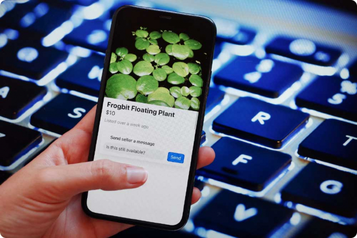 Prohibited Plants - Crime Stoppers NSW